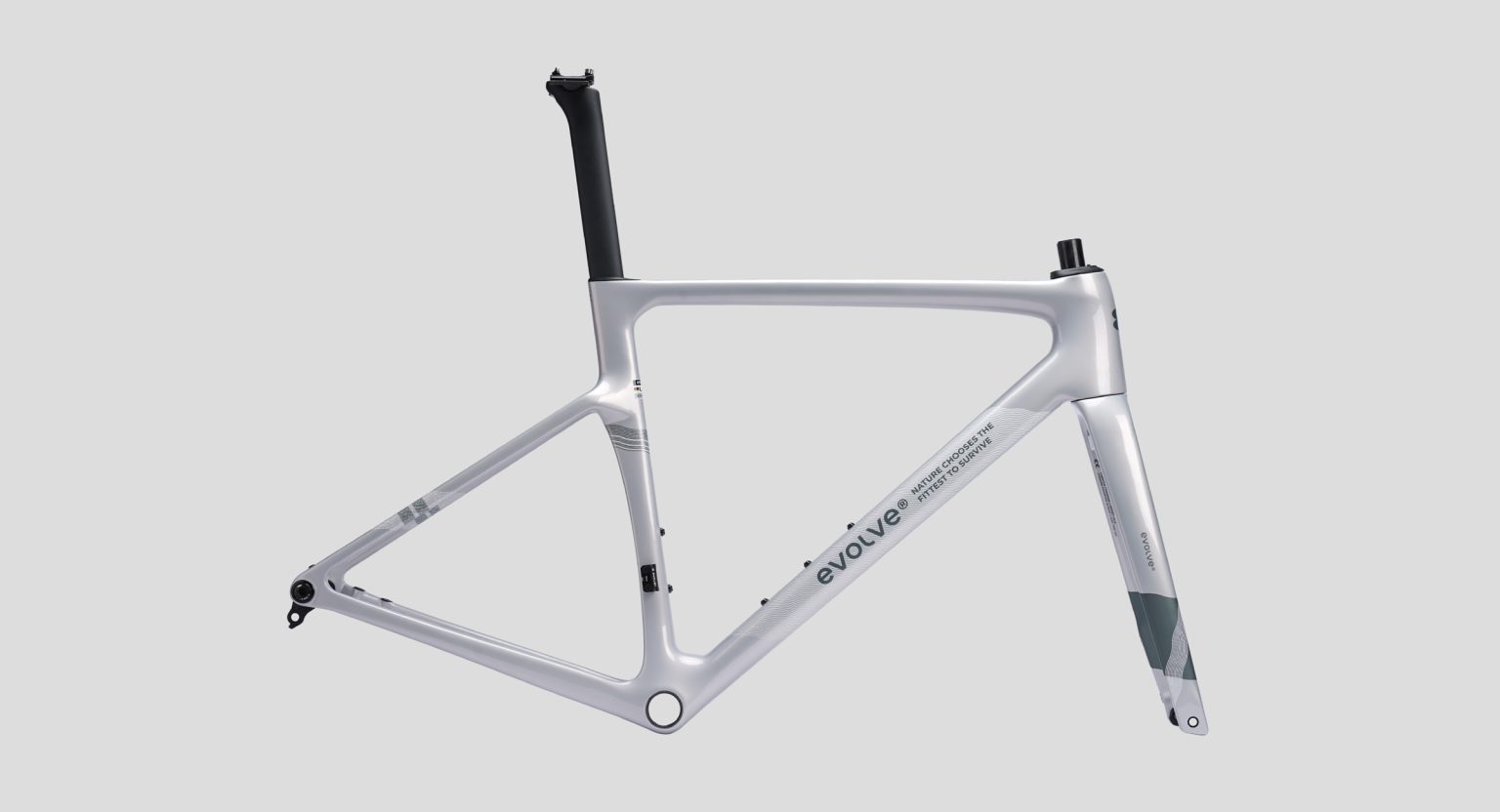 evolve CIMA Speed Artist Carbon Road bike Frameset – Panda Podium