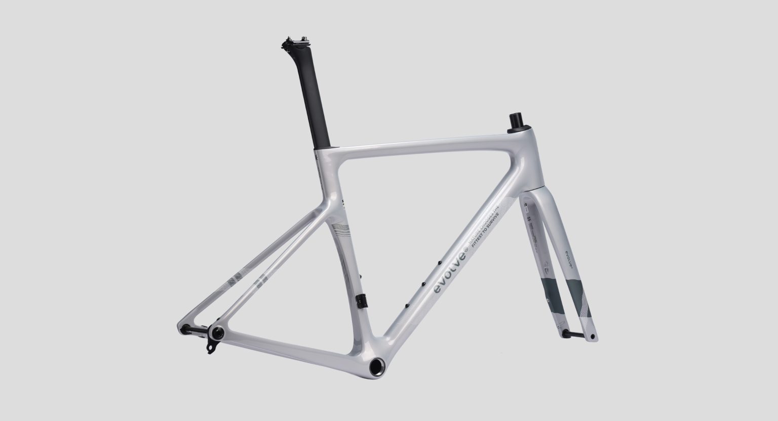 evolve CIMA Speed Artist Carbon Road bike Frameset – Panda Podium