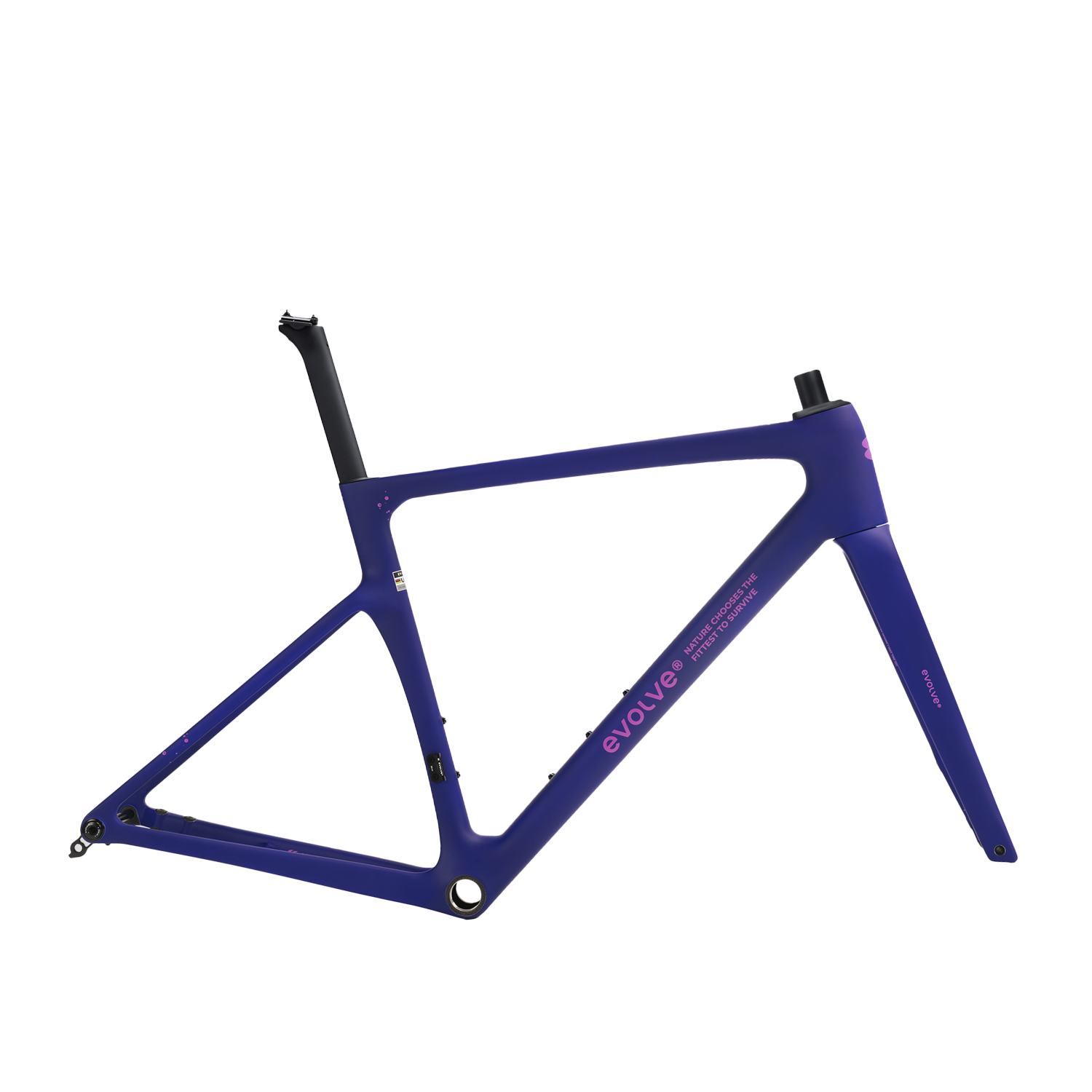 evolve CIMA Speed Artist Carbon Road bike Frameset – Panda Podium