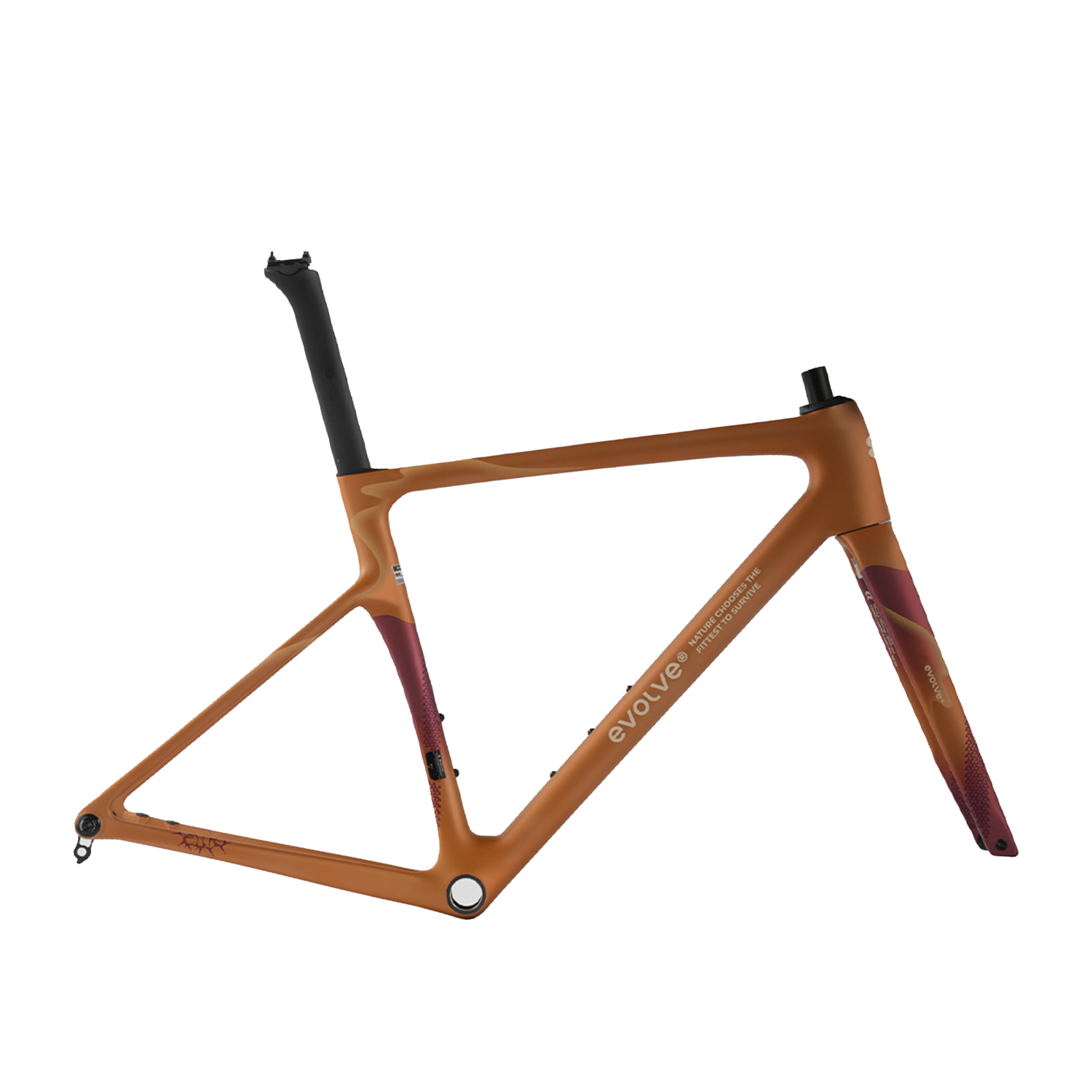 evolve CIMA Speed Artist Carbon Road bike Frameset – Panda Podium