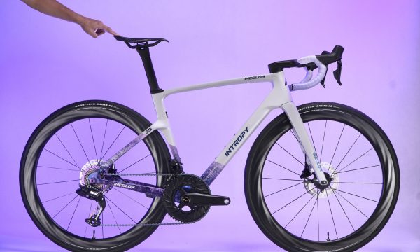 INCOLOR SR Road Frameset – Panda Podium
