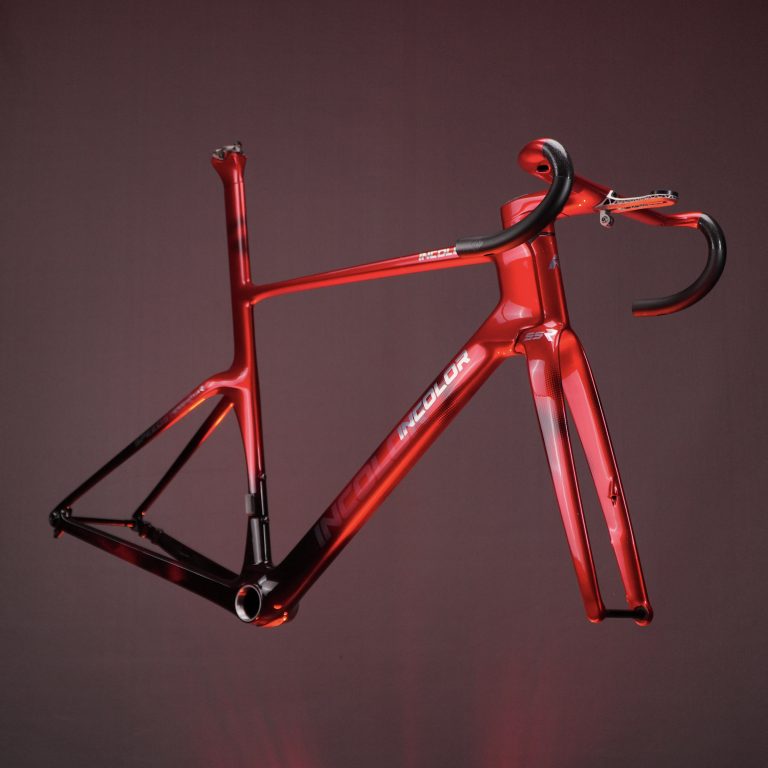 INCOLOR SSR Road Frameset – Panda Podium